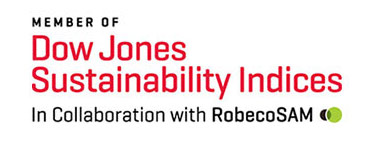 Djsi Logo